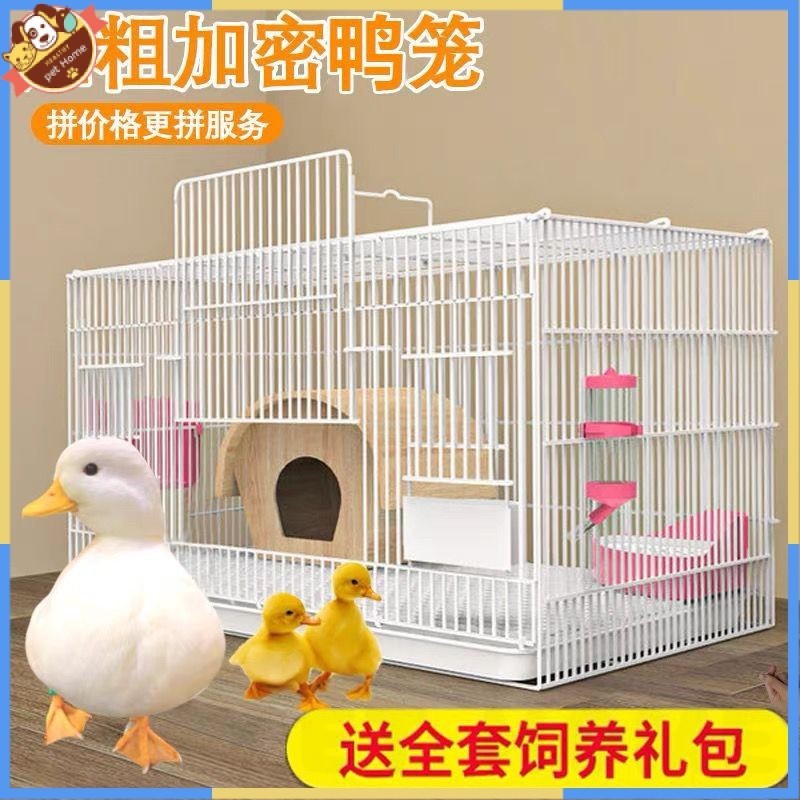 Corduck Special Cage Little Duck Duck Coop Household Indoor Kodak ...