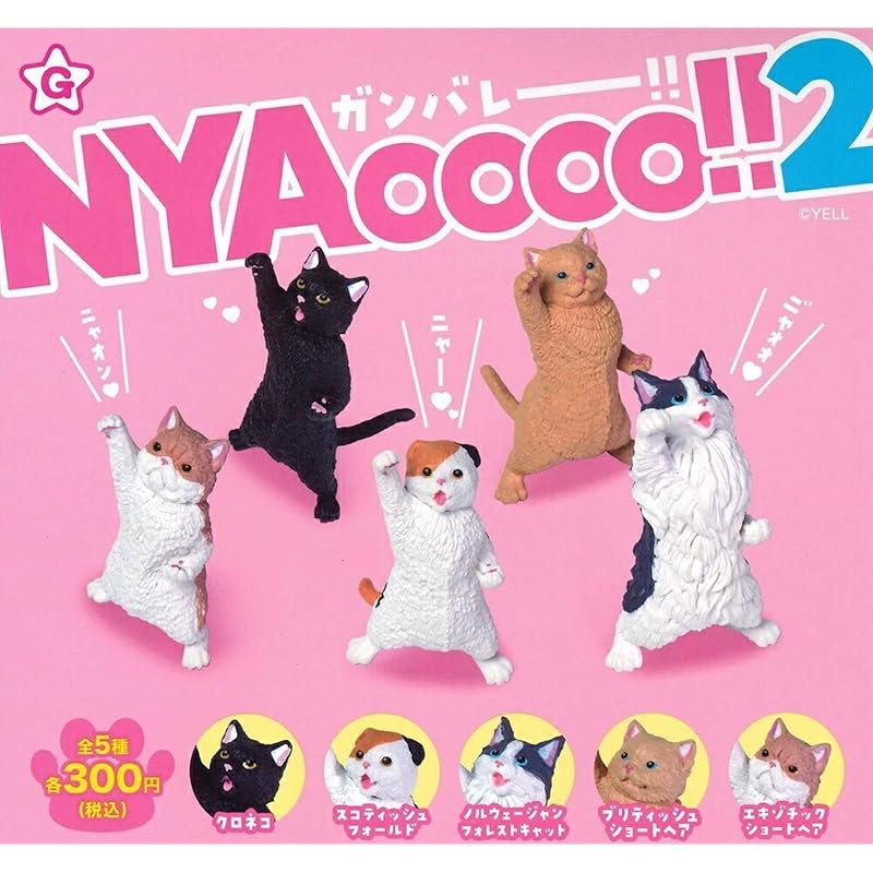 Cheer up!! NYAoooo!! 2 x Complete set of all 5 types Gacha Gacha ...