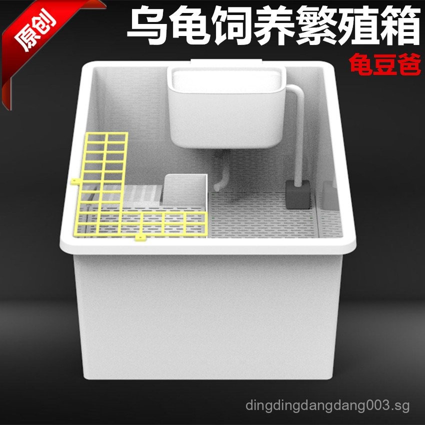 Turtle Box Live Brazilian Red-Eared Slider Turtle Fruit Core Turtle ...