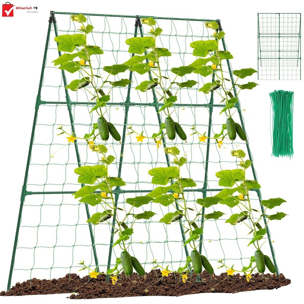 Cucumber Trellis A Frame Vegetable Trellis Easy to Install Cucumber ...