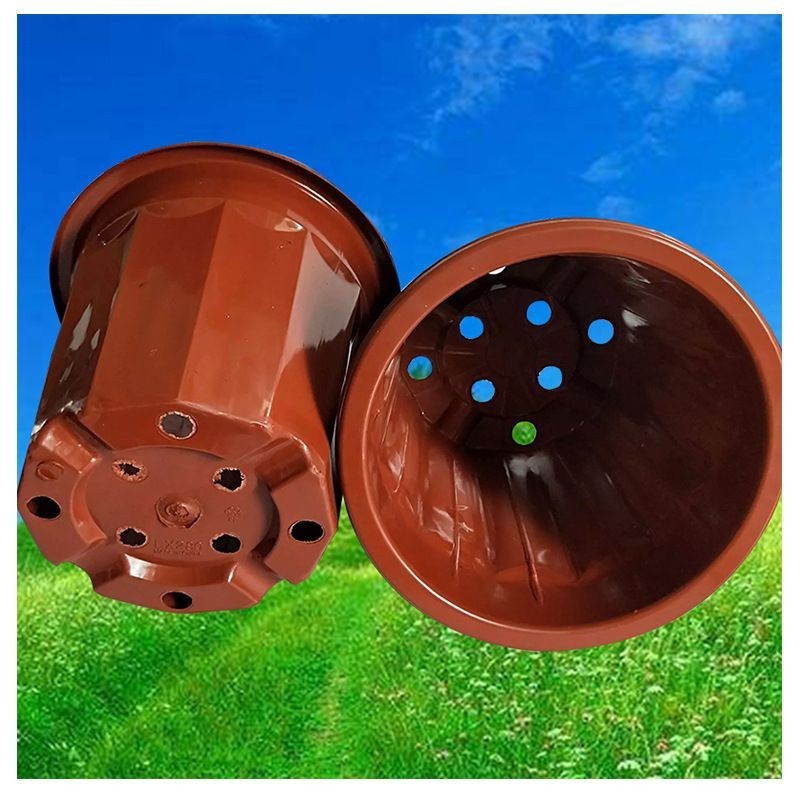 G1010 Plastic flower pot round 280 corner pot 塑料花盆 圆形 280角盆 | Shopee ...