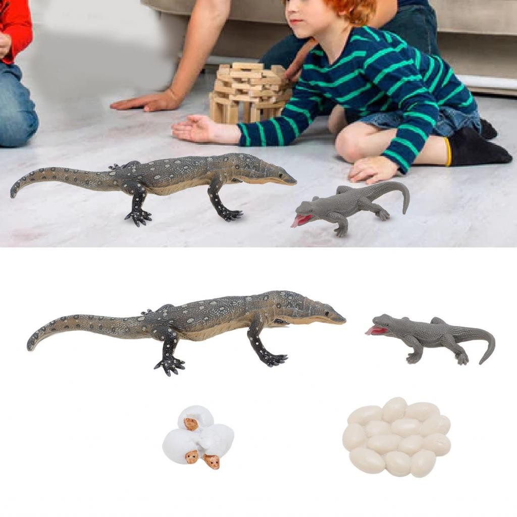Foreststore 4 Pcs Lizard Life Cycle Toy PVC Realistic Educational ...