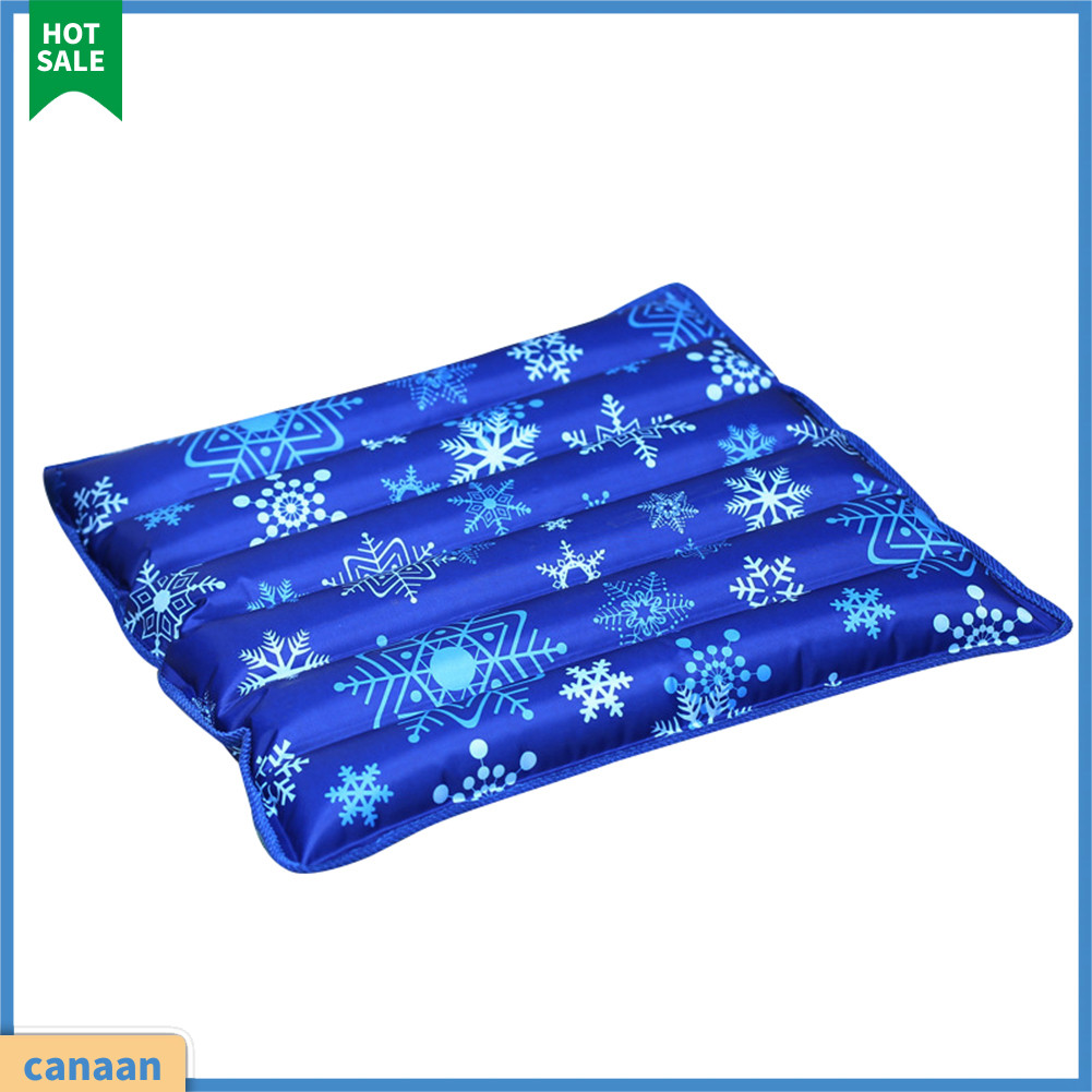 canaan| Snowflake Drip Print Water Filling Ice Cushion Home Car Chair ...