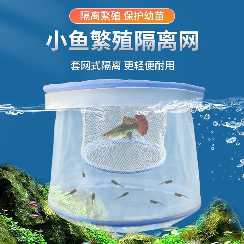 Guppy Hatching Isolation Box Breeding Box Transparent Fish Tank Round ...