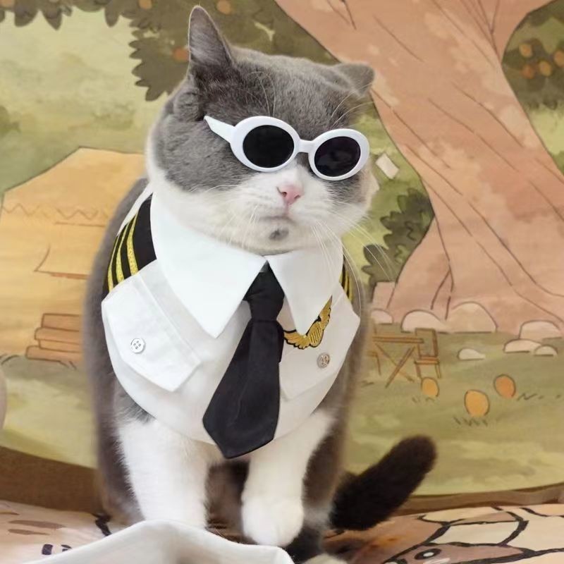 Dog Stylish Air Force Uniform Cute Cat Costume Air Force Pilot Pet ...