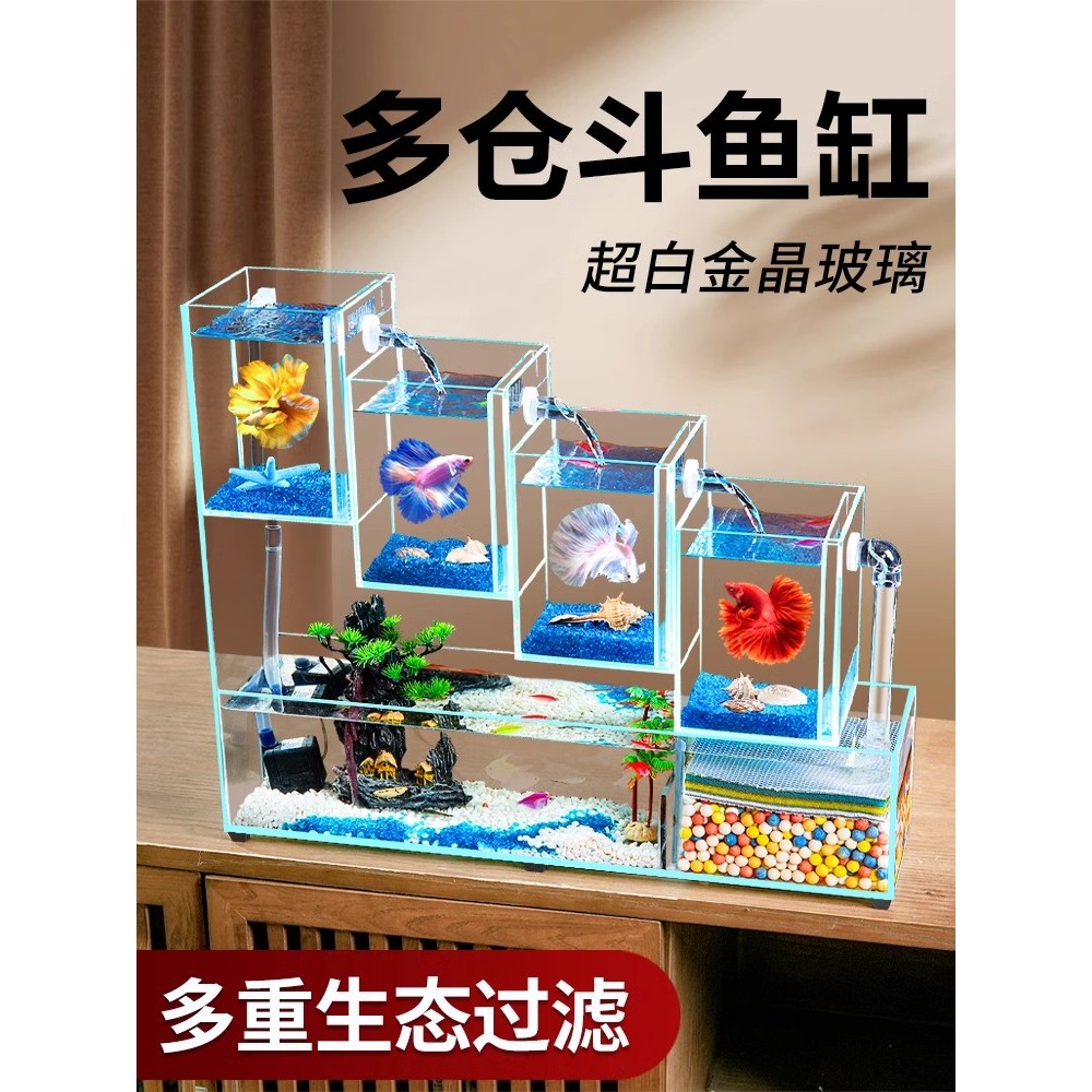 Self-Circulating Multi-Compartment Betta Fish Tank Ultra Clear Glass ...