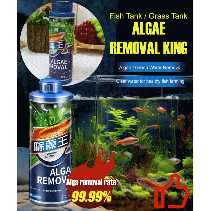 【Algae King】Crazy Aquatic Weed Algae Remover Green Algae Moss Brown ...
