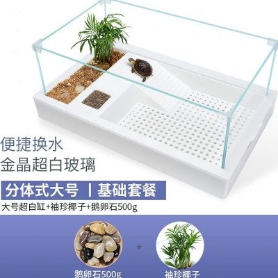 Hexagonal Dinosaur Tank for Turtles, Large Ecological Tank for Villa ...