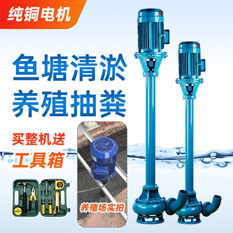 380V Three-Phase Electric Vertical Mud Pump for Sludge and Sewage ...