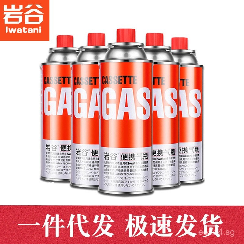 Iwatani Outdoor Portable Cassette Stove Explosion-Proof Gas Canister ...