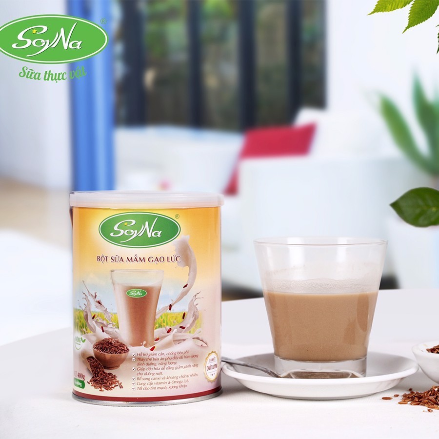 Soyna Unsweetened Brown Rice Sprout Milk Powder - Box of 400g - For ...