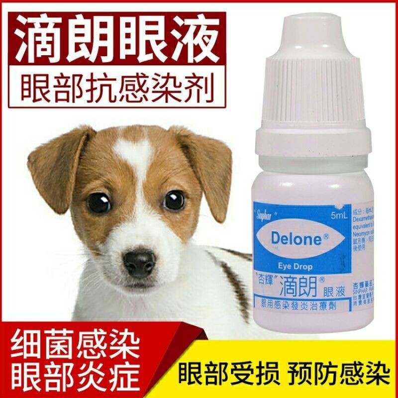 X Xinghuijian Large Micro-Vegetarian Eye Drops Dogs Cats Eyes Pustule ...