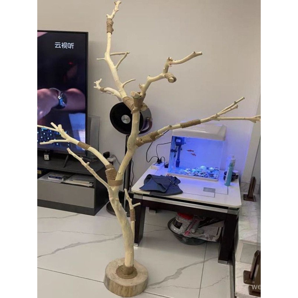Bird Stand Tree Branch Tree Pole Parrot Stand Tree Trunk Log Stand Pole ...