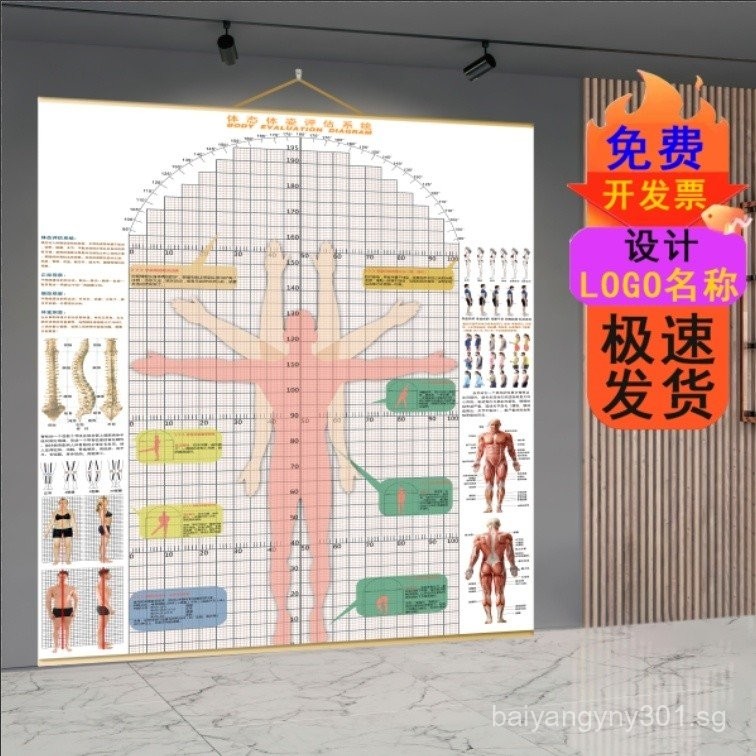 Posture Assessment Chart Hanging and Sticking Type Body Measurement Gym ...