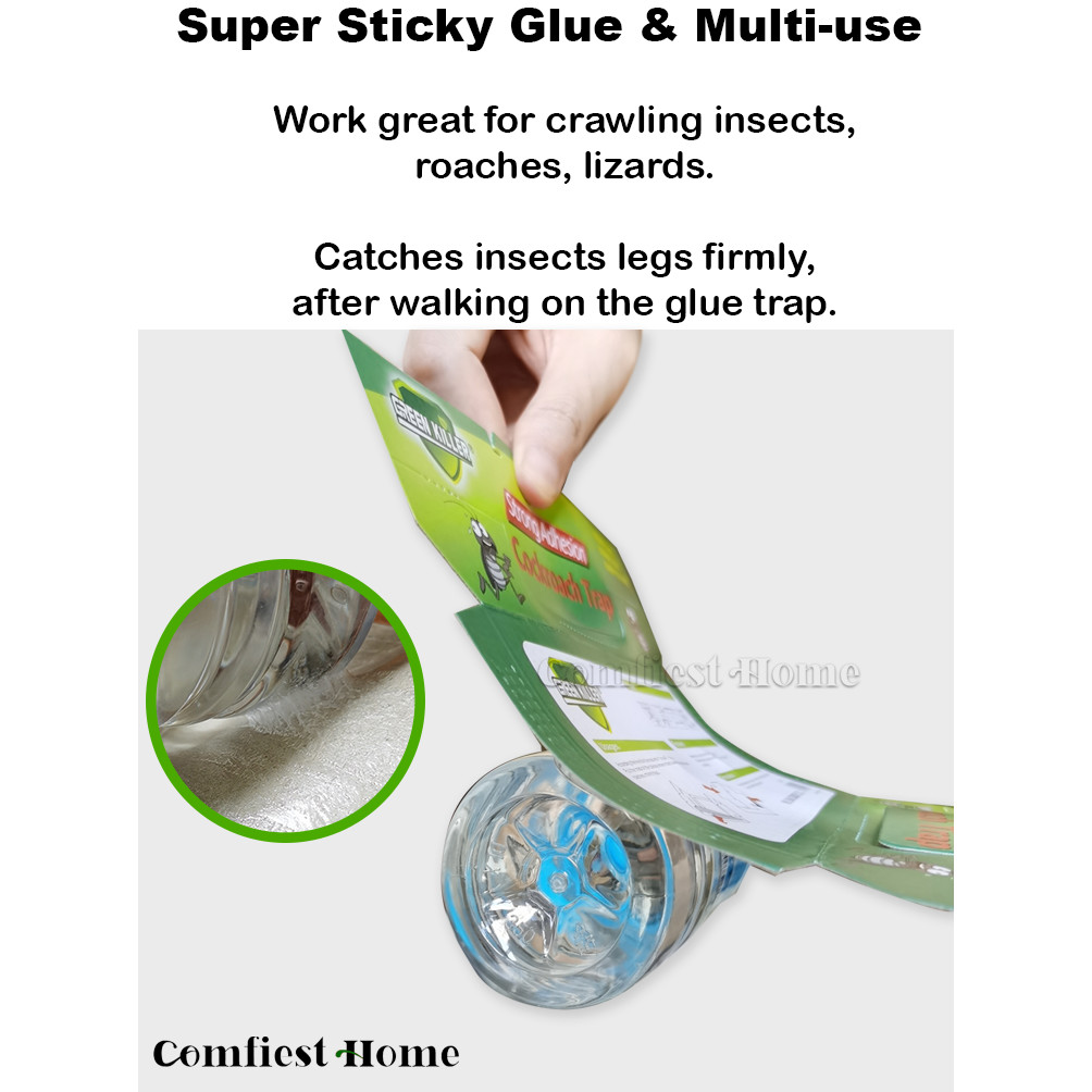 roach Trap Lizard Traps Stickers Roach Bait roaches Repellent Roaches ...