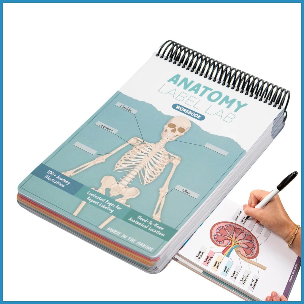 Anatomy Terms Workbook Anatomy Terms Illustrations Notepad Reusable ...