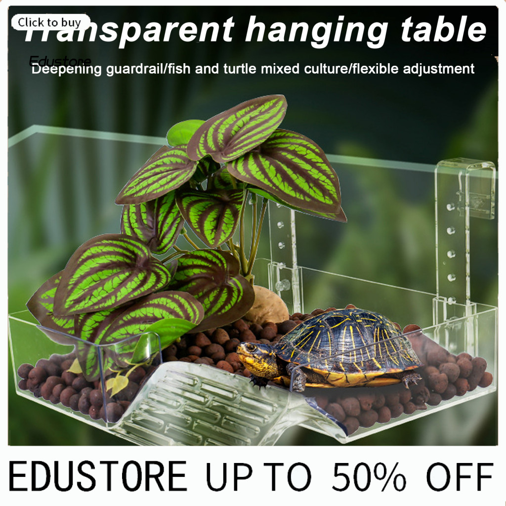 Turtle Basking Area Small Pet Basking Platform Floating Turtle Basking ...