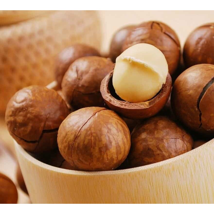 Macadamia Nuts with Shell (Macca Nut Vỏ) | Shopee Singapore