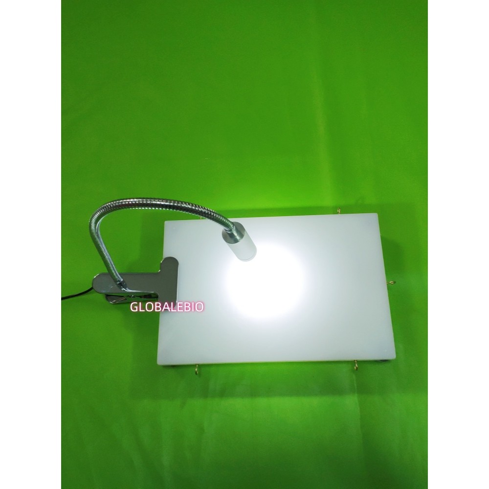 Mouse Surgery Table Dissection Table Experimental Small Animal Surgery ...