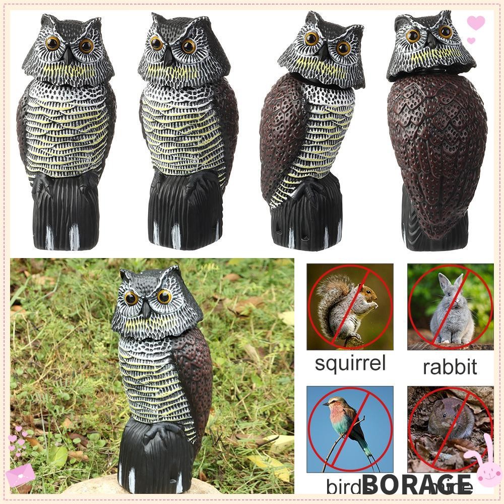 BORAG Outdoor Bird Deterrent Realistic Birds Repellent Nighthawk ...