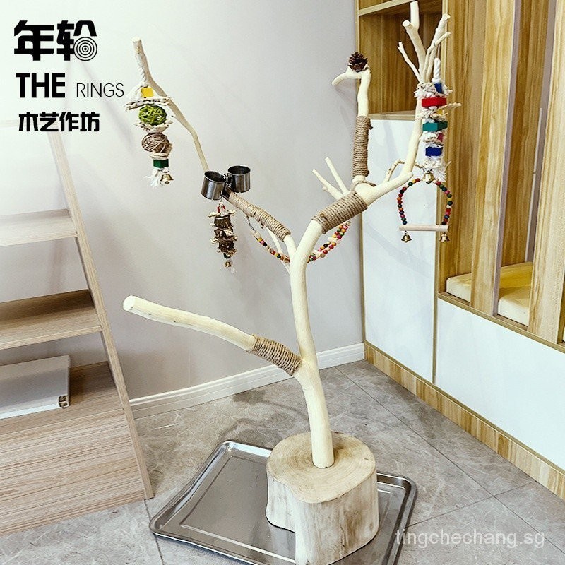 【In stock】Parrot Stand Tree Bird Stand Floor Stand Bird Training Stand ...