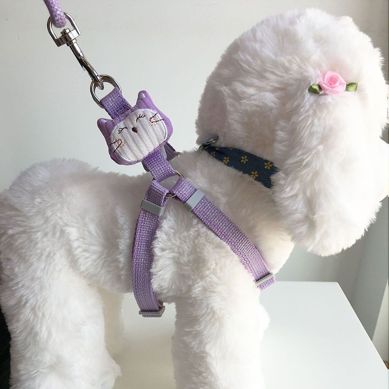 Dog leash, dog leash, dog chain rope, large, medium and small dogs ...