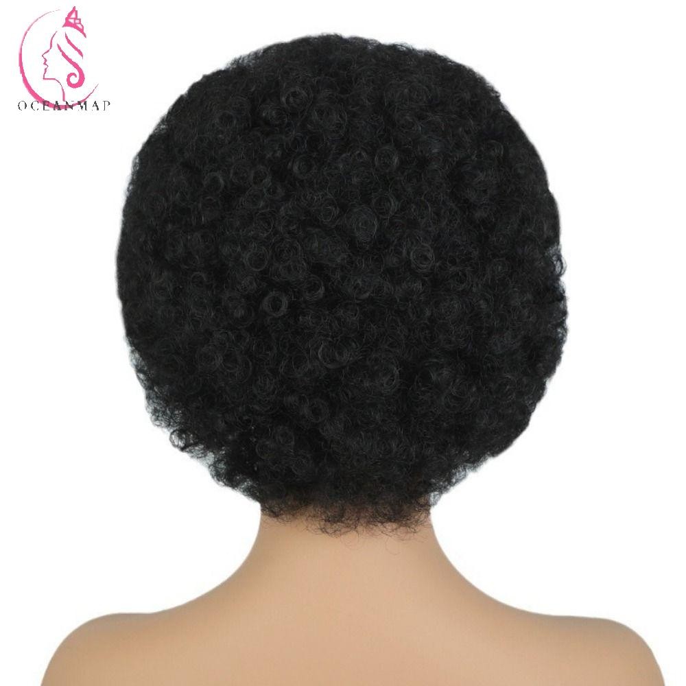 OCEANMAP Kinkly Curly Wigs, 70s Jumbo Afro Wigs, High Temperature Fiber ...