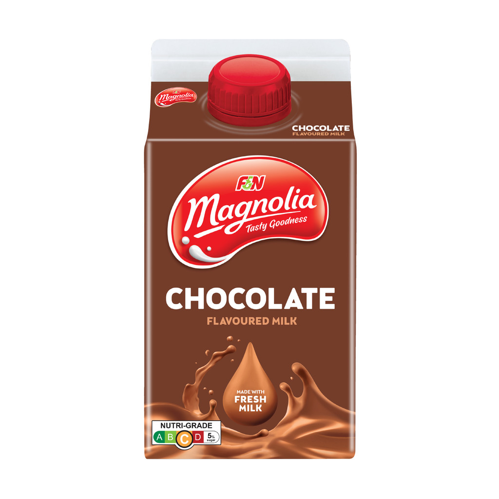 Magnolia Chocolate Milk, 500ml | Shopee Singapore