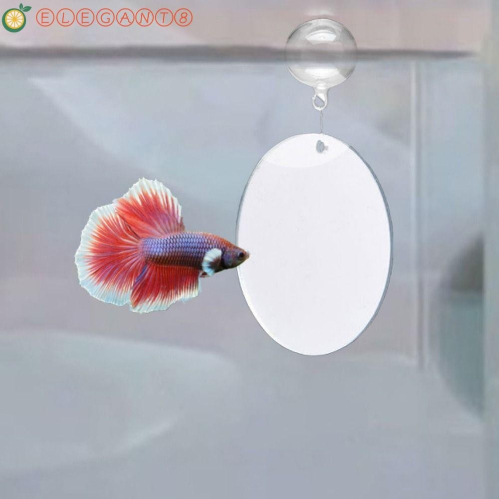 AELEGANT Aquarium Betta Mirror, Decorative Round Fish Training Mirror ...