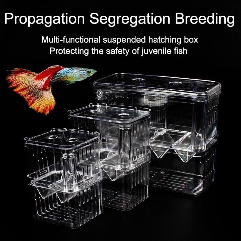 [springeven] Peacock Fish Breeding Box Fish Aquarium Acrylic Isolation ...