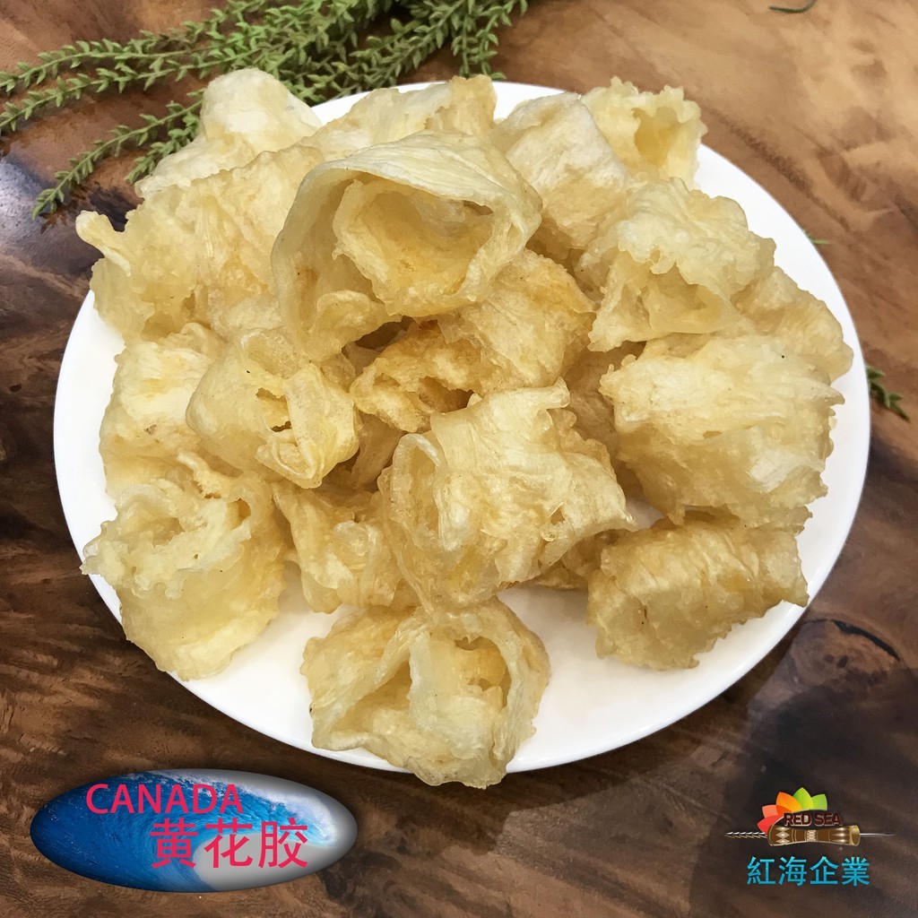 Red Sea Canada Fish Maw 加拿大黄花胶 (100g/300g/500g) | Shopee Singapore