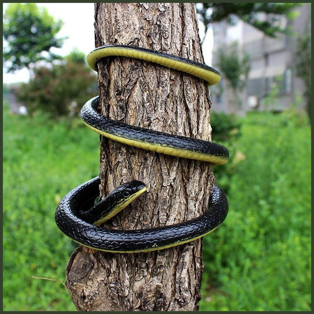 Fake Snake Prank Fake Rubber Snake Golf Snake Prank with String and ...