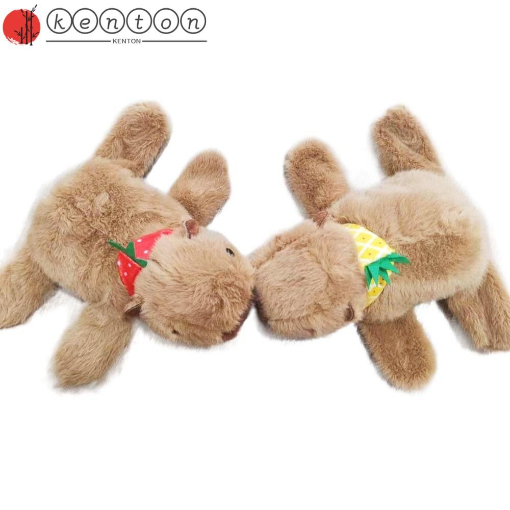 KENTON Capybara Plush Papa Circle, Stuffed Animals Fluffy Cartoon Fun ...