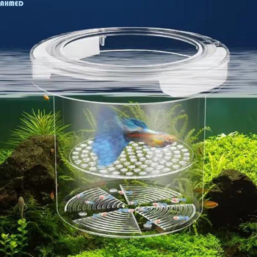 AHMED Aquarium Breeder Feeder, Acrylic Transparent Floating Fish ...