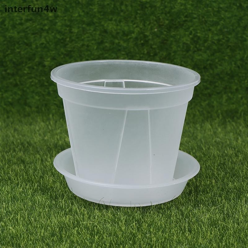 interfun4w 1Pc Clear Flower Pot Planter With Tray 10cm/12cm/14cm PP ...