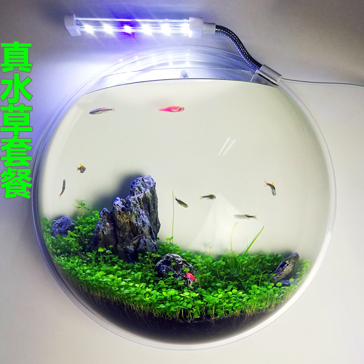 [HTK775People]Creative Aquarium Acrylic Wall-Mounted Fish Tank Mini ...