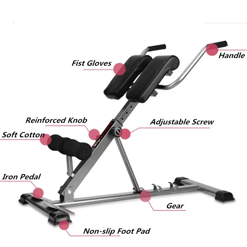 Multi-Functional Training Chair - Foldable Workout Bench with Abdominal ...