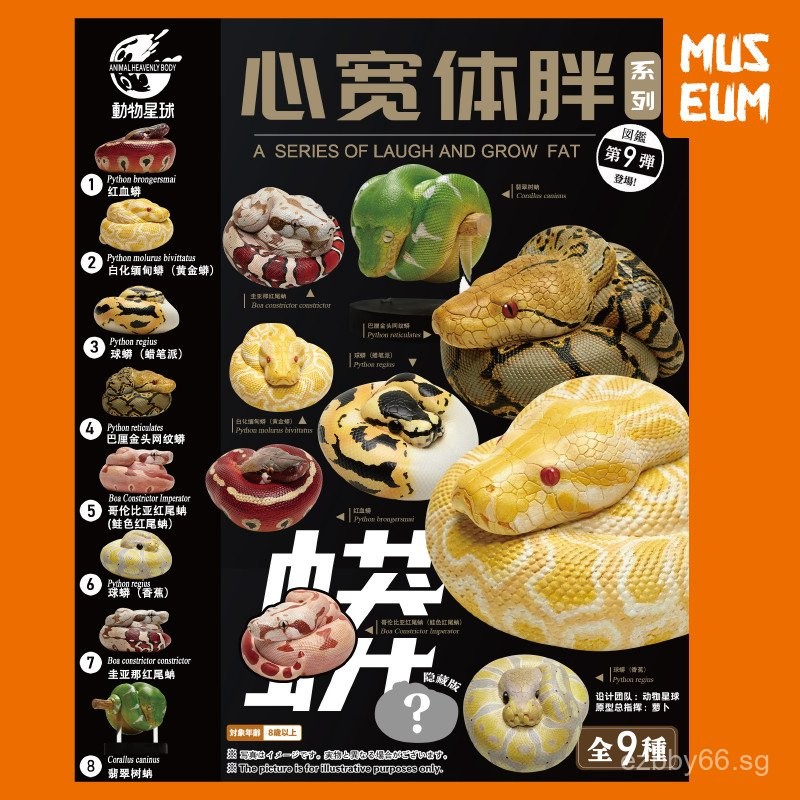 Animal Planet Heart Wide Body Fat Series9Bomb Red Blood Python Tree ...