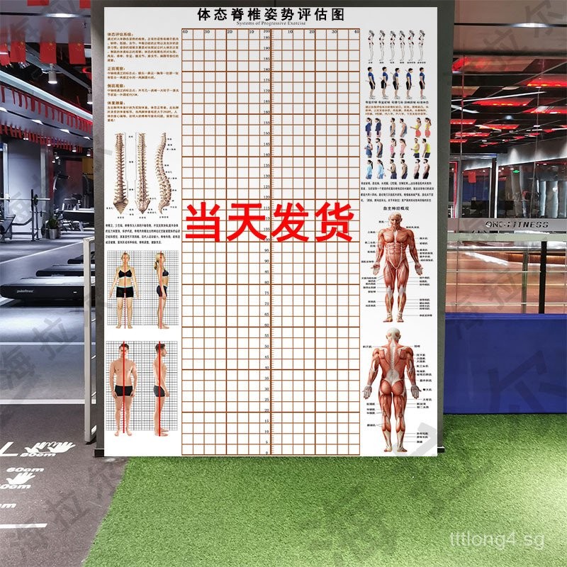 In-Stock Posture Assessment Chart Yoga Personal Training Body ...