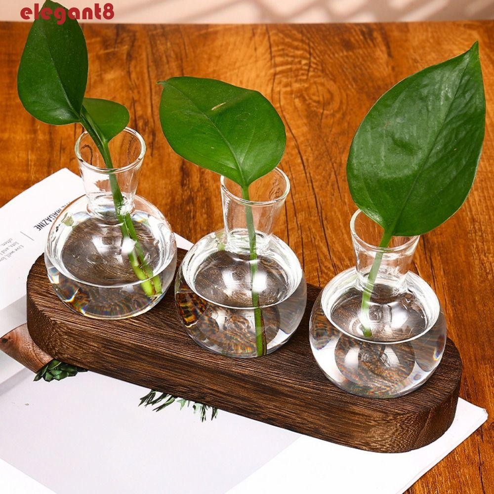ELEGANT Hydroponics Glass Vase, Transparent with Wooden Tray Plant ...