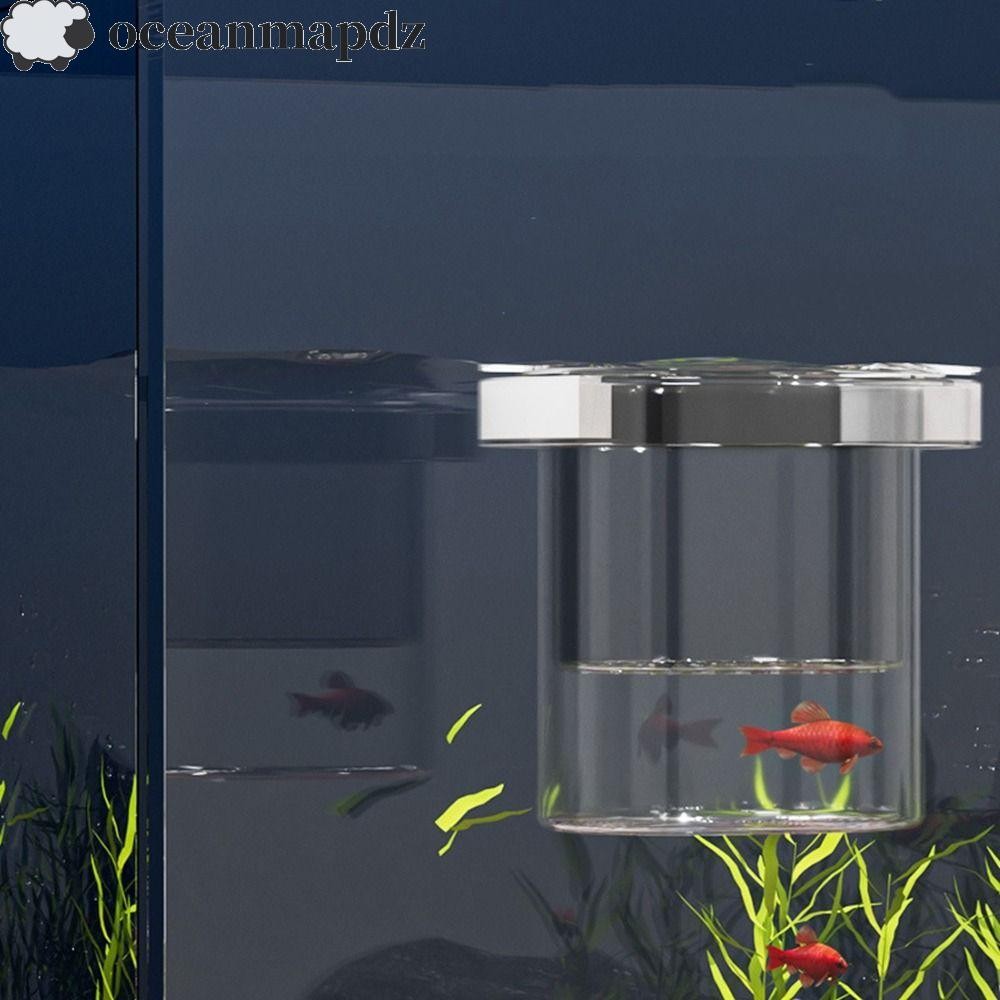 OCEANMAPDZ Floating Fish Breeding Isolation Box, Acrylic Transparent ...