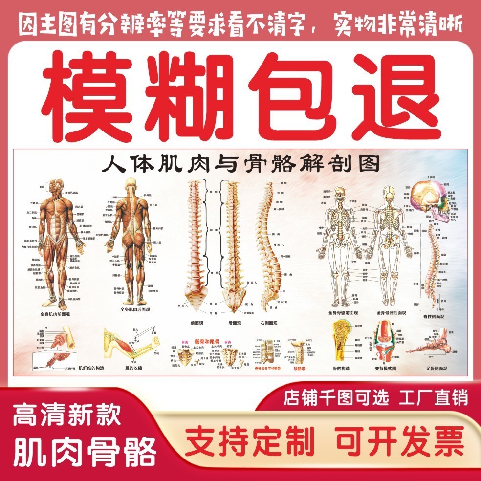 Acupoint Map Human Muscle Bone Anatomy Map Poster Fitness Muscle Map ...