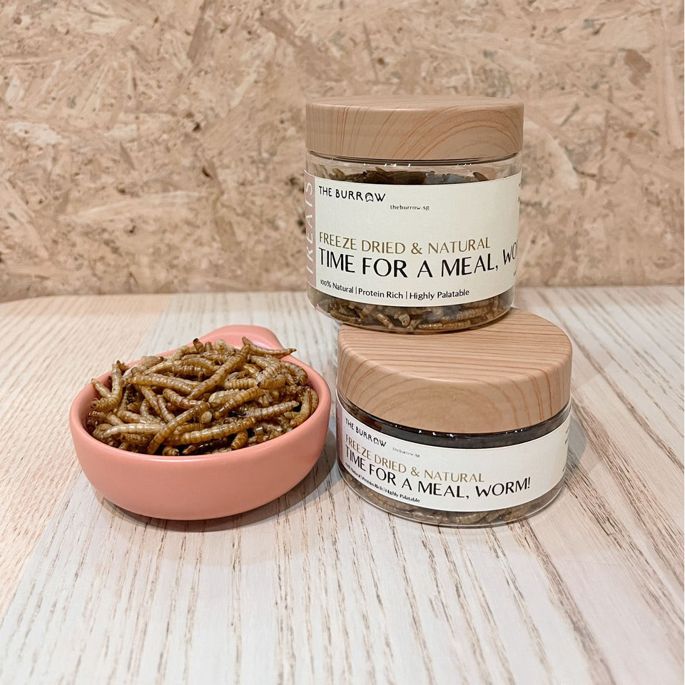 The Burrow Freeze Dried & Natural | Time for a Meal, Worm! (10g ...
