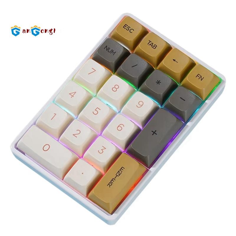 21Keys Mini Keyboard 2.4G Wireless Number Pad Mechanical Numeric Keypad ...