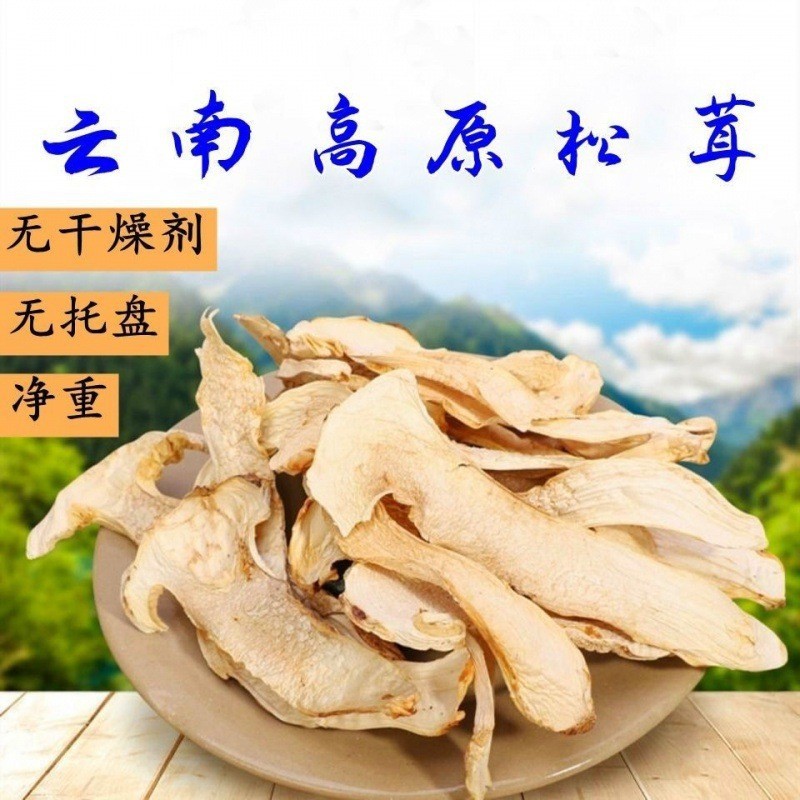Tricholoma Matsutake Mushroom Dry Goods Yunnan Specialty Shangri－La ...