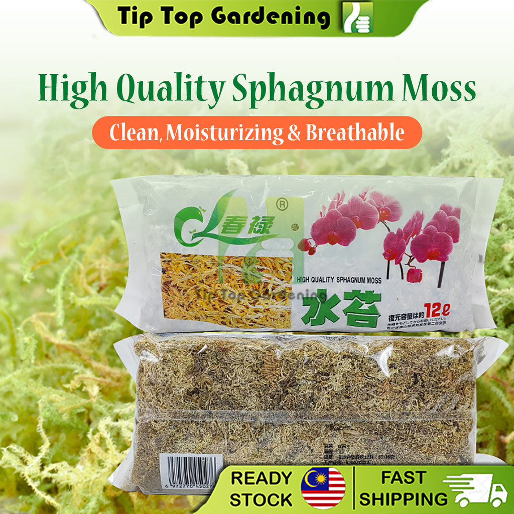 12 Liter High Quality Sphagnum Moss Orchid Succulent Garden Plant Soil ...
