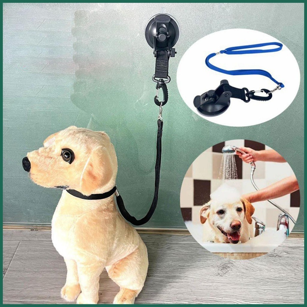 Grooming Loops Pet Bath Tether with Suction Cup Dog Restraint for ...