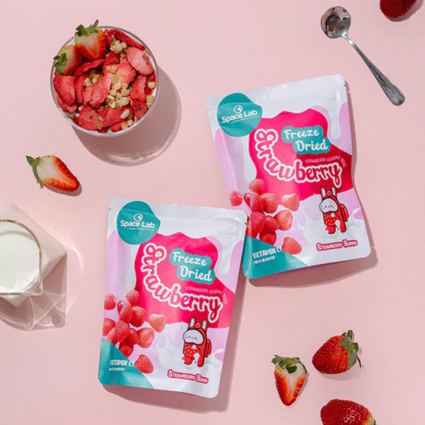Space Lab Freeze Dried Strawberry 19G (2Y+) | Shopee Singapore
