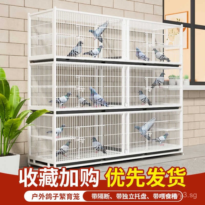 Pigeon Pairing Cage Breeding Encrypted Pigeon Cage Breeding Pigeon Bird ...