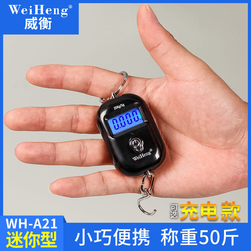 Weiheng Micro Mini Small Electronic Scale Portable Scale Hanging Scale ...